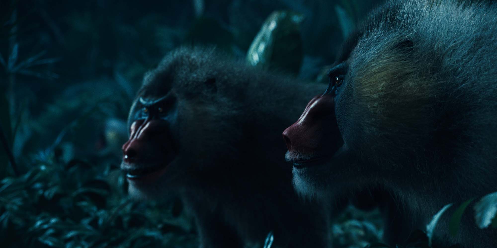 Catching Fire Monkeys